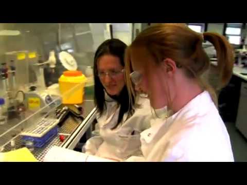 Day in the life of a Forensic Scientist - YouTube