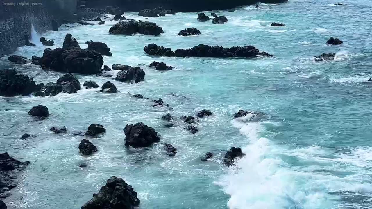Ocean Sounds For Study, Relax, Meditation - Relaxing Ocean Scene ...