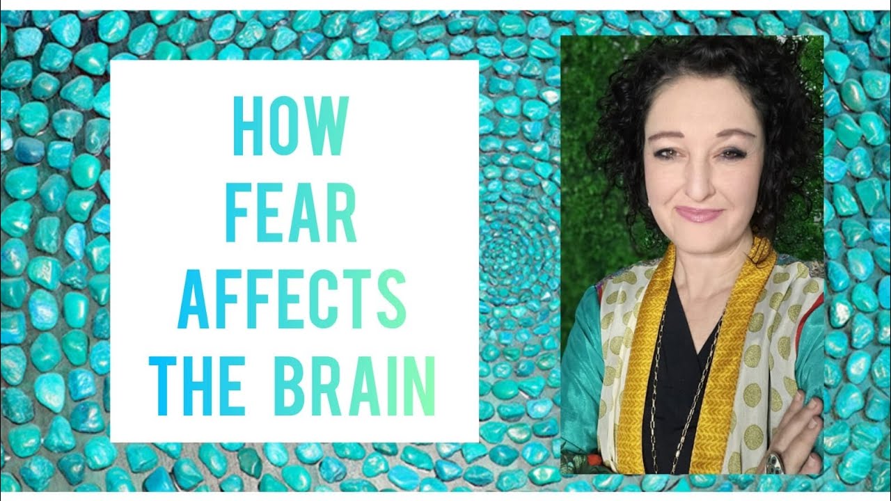 How fear affects your brain - YouTube
