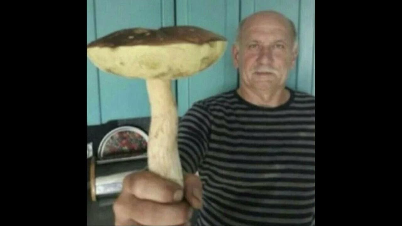 Мужик держит гриб целый час - YouTube