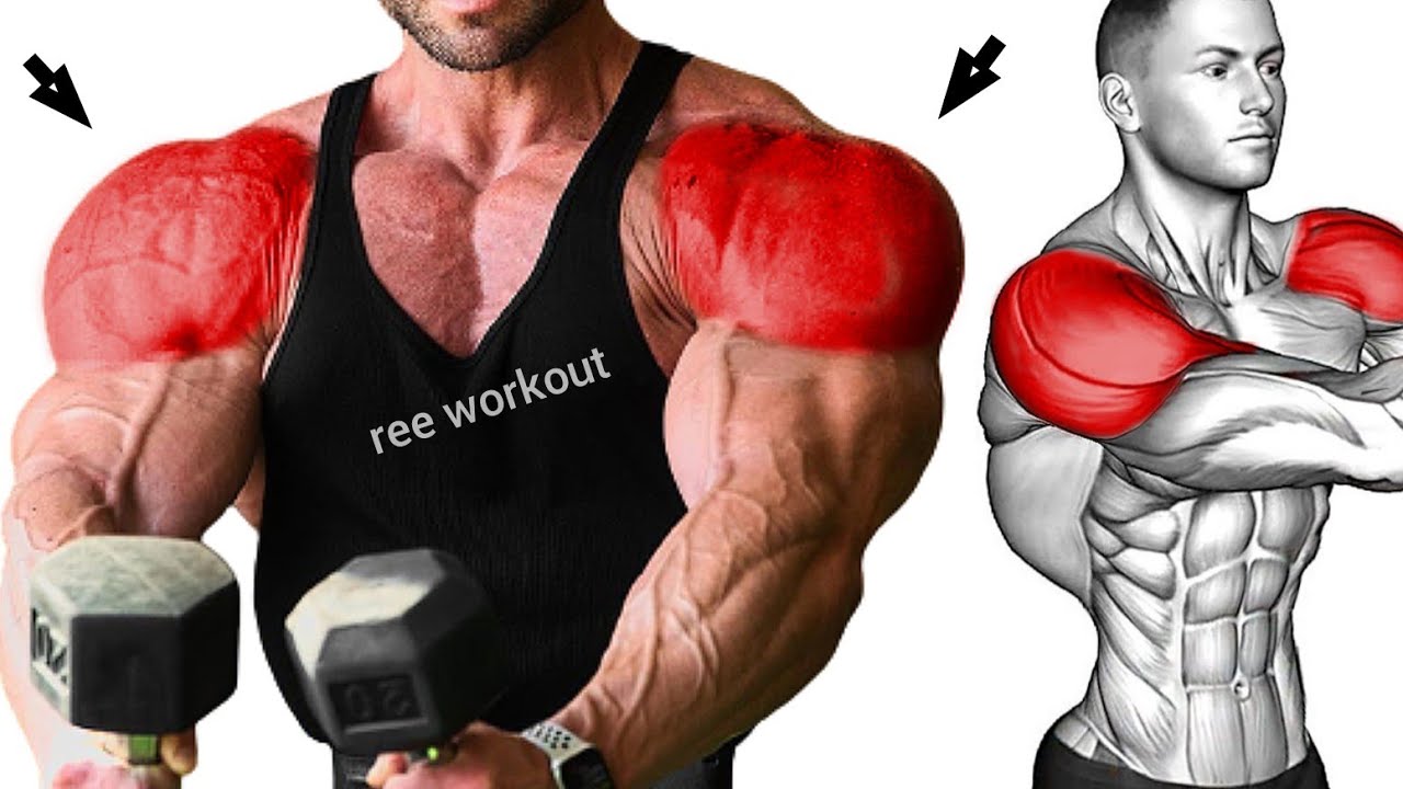 9 Exercises Shoulder for Massive Shoulders Gains ( Effective ) - YouTube
