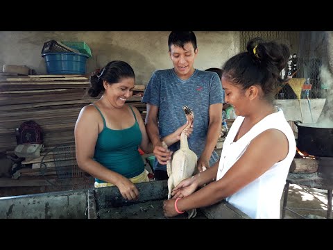 COMO DESPLUMAR UN PATO CON LAS CHICAS 🦆🦆🦆🦆