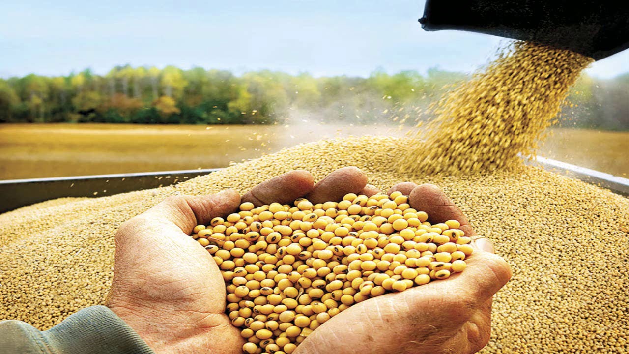 los productos tradicionales de Bolivia - YouTube