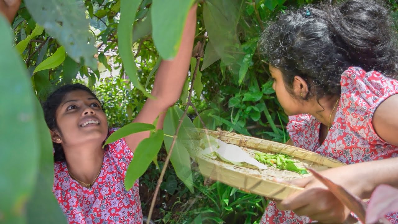 Sri Lankan Traditional Dinner Recipe | Embarella leaves | Arrowhead ...