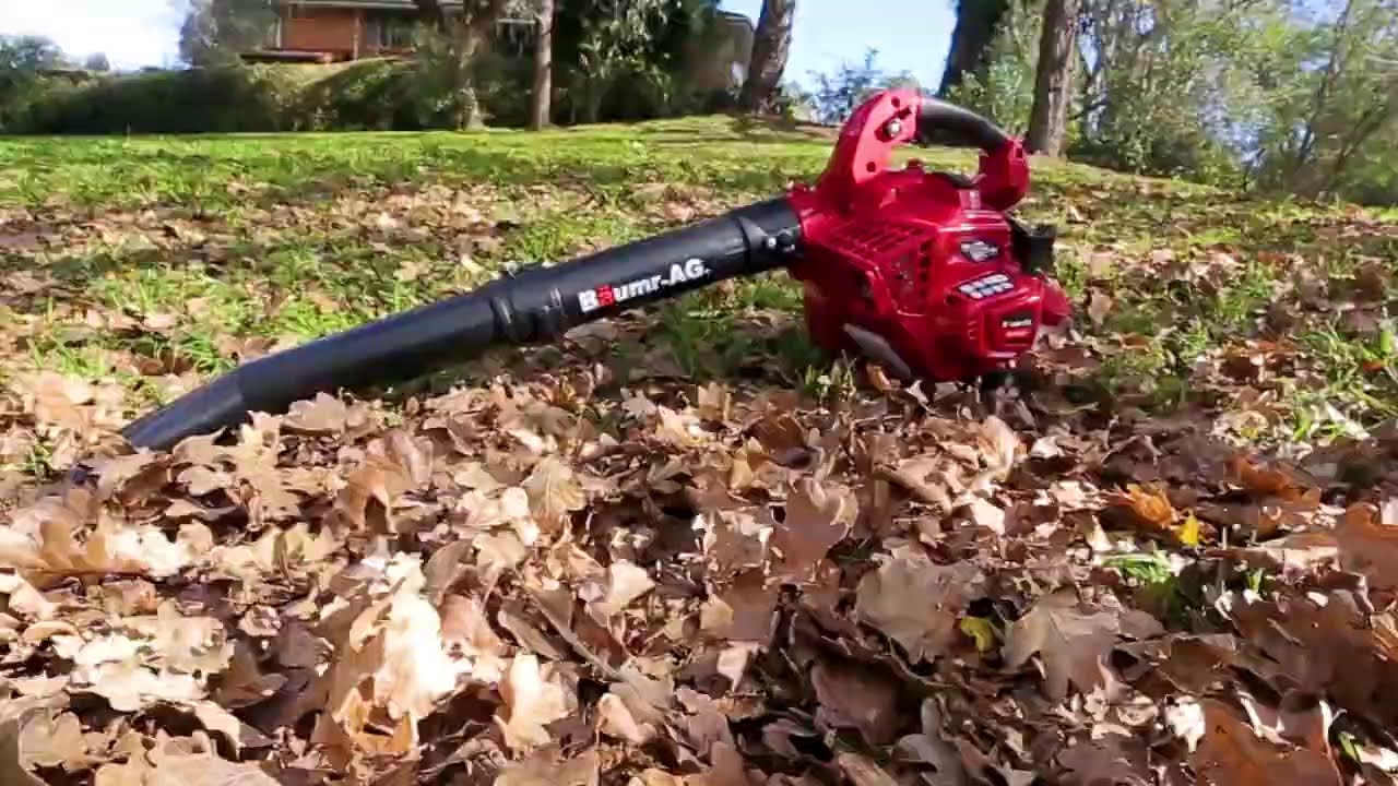 BAUMR-AG Petrol Hand-Held 3-in-1 Leaf Blower Vacuum Mulcher