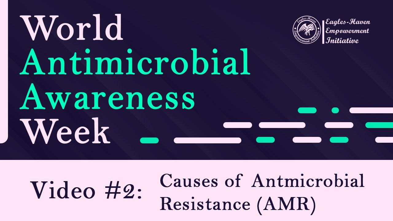 Causes of Antimicrobial Resistance (AMR) | World Antimicrobial ...