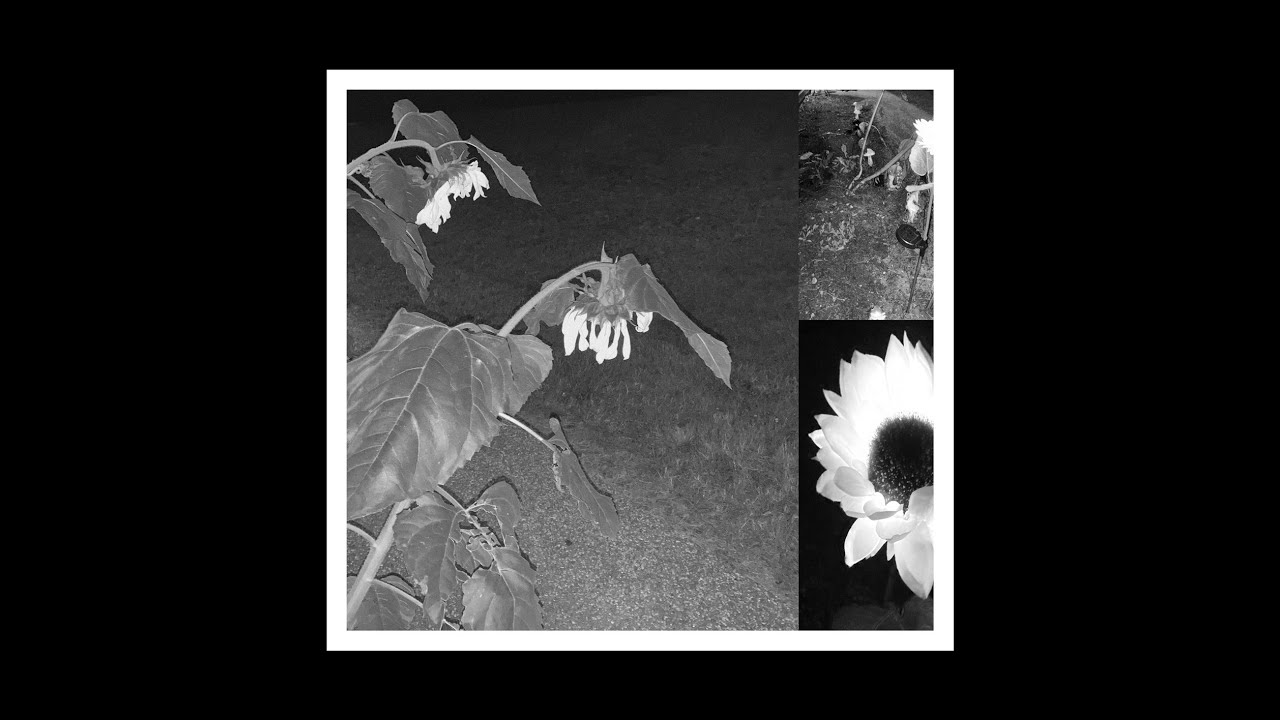 Body2/interlude - YouTube