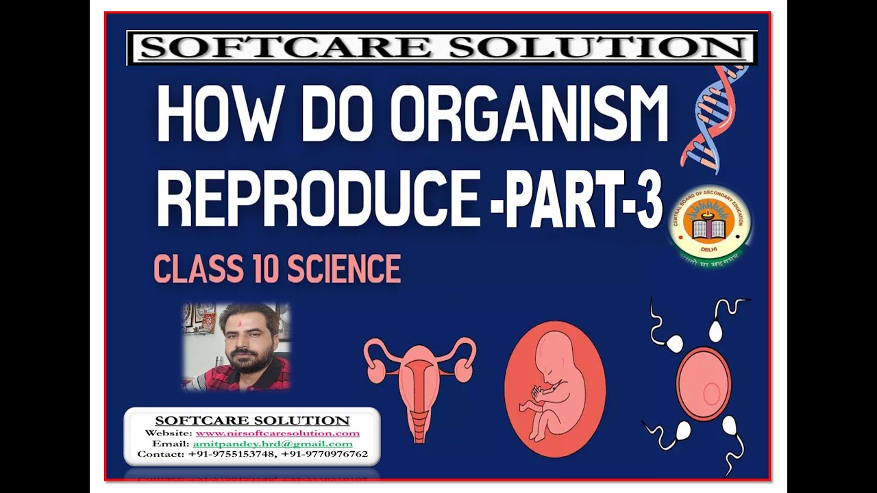 How Do Organisms Reproduce ? Full Chapter | Class 10th Science ...