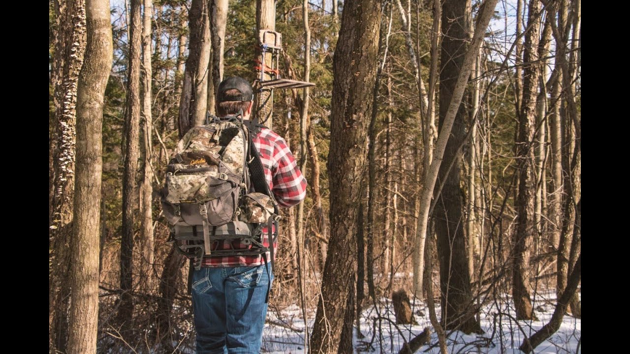 Public Land Scouting (Michigan) - YouTube