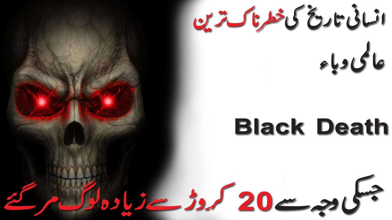 Taoon - Plague History - Black Death - Historical Diseases - YouTube