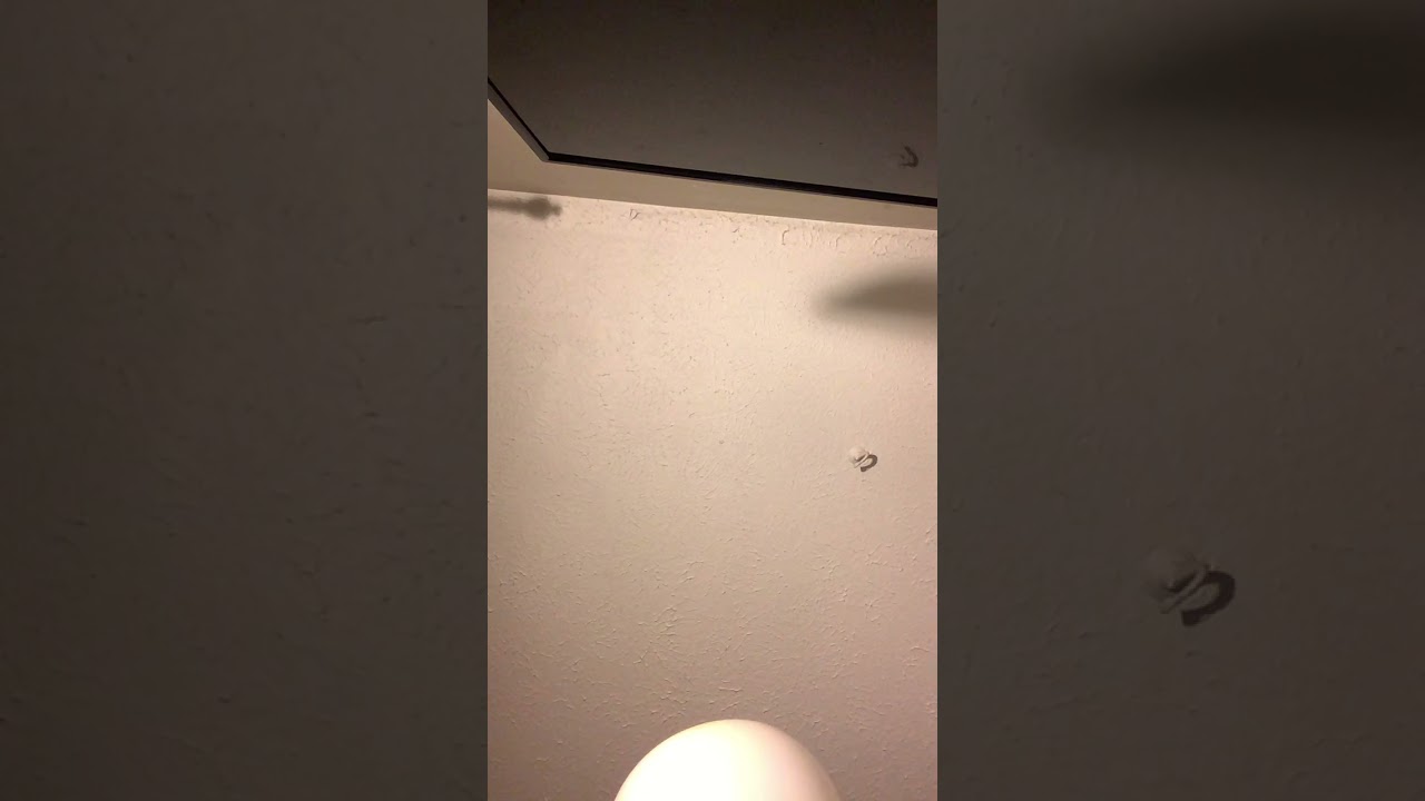 Balloon episode #3954 - YouTube