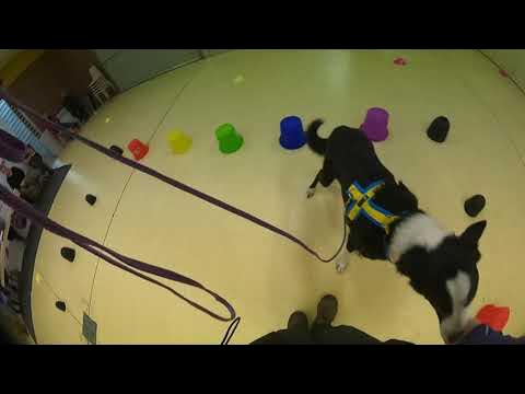 2B Excellent Containers 24 05 22 - YouTube