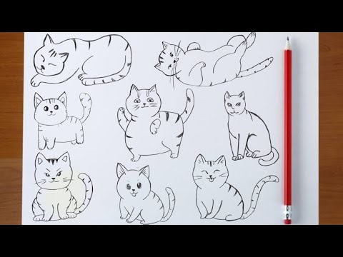 11 type cat drawing practice for beginners and kids cute easy step ...