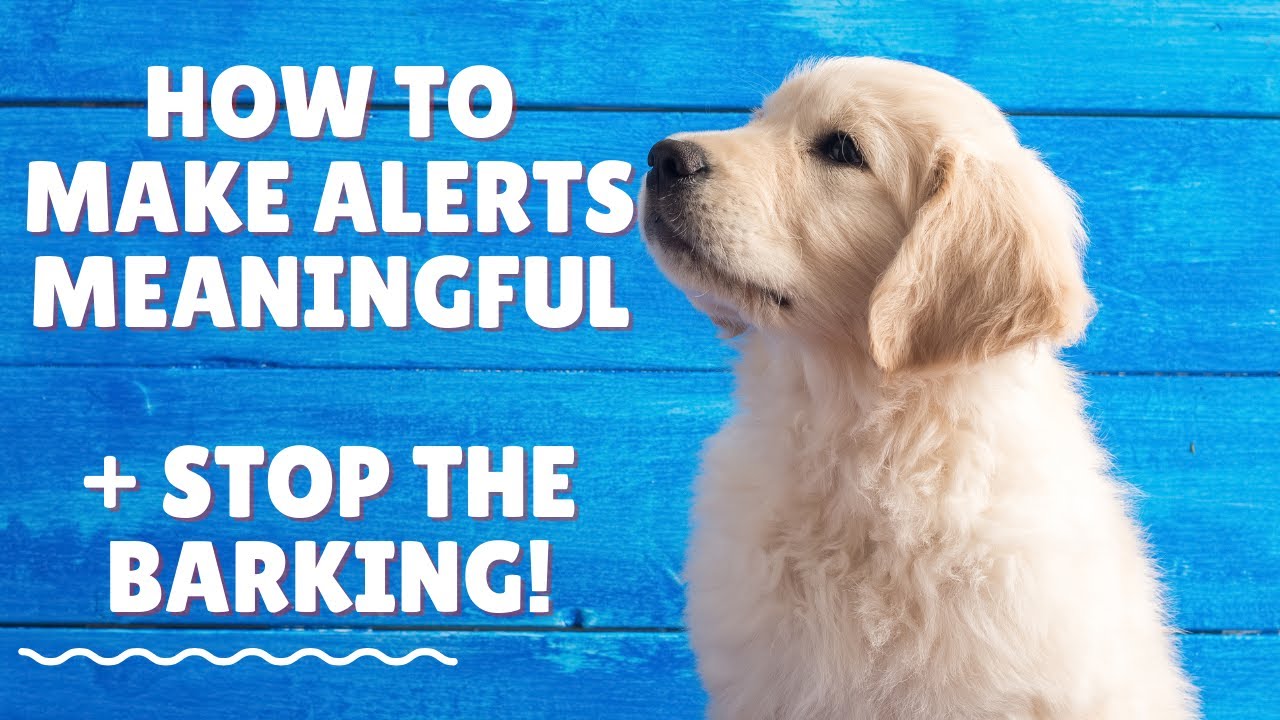 Making Alerts Meaningful with Data Enrichment - YouTube