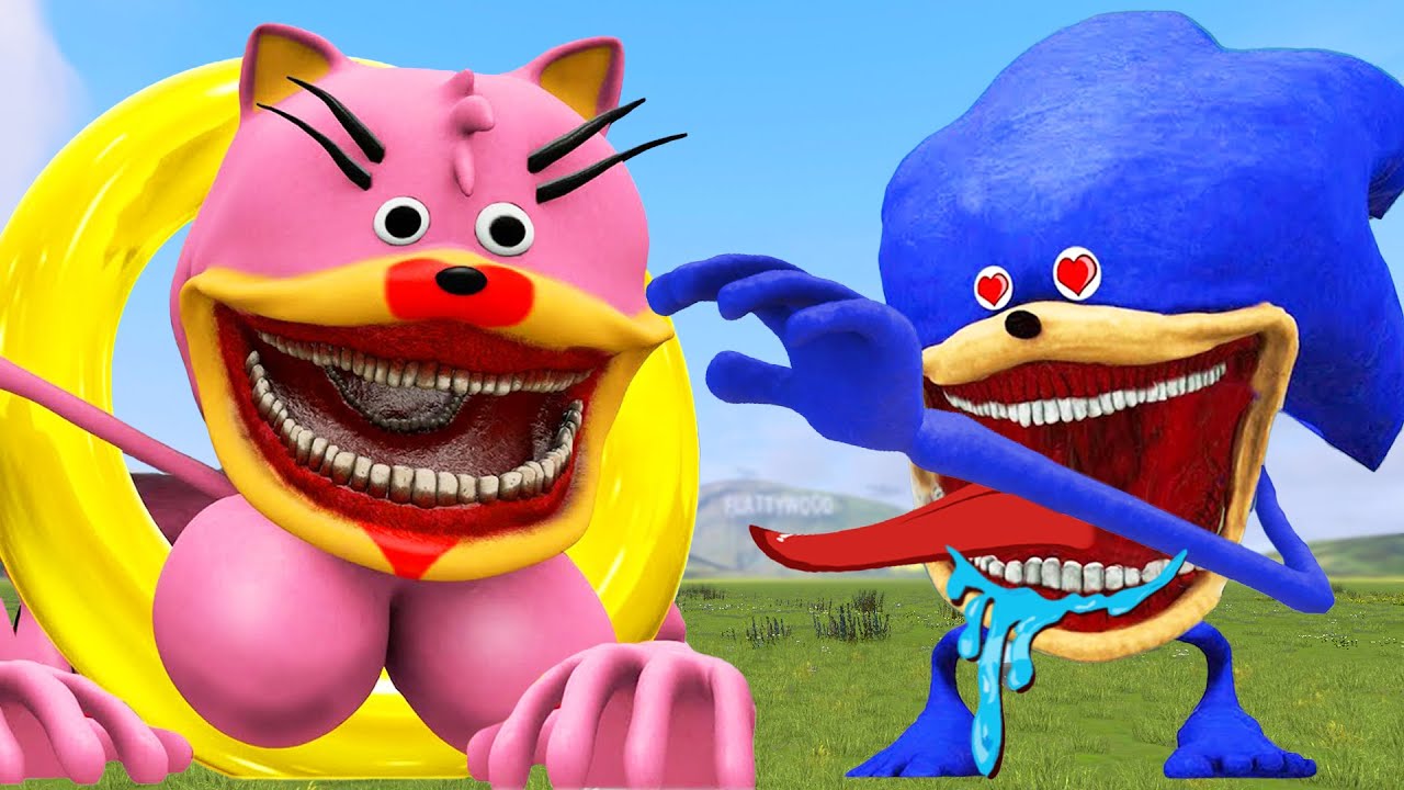 NEW SHIN AMY IN RING TAPES LOVE STORY! THE SHIN SONIC TAPES ANIMATION ...