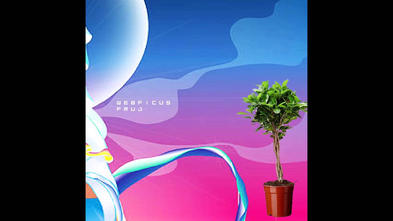 RZLT001 - WEBFICUS - FRUJ - YouTube