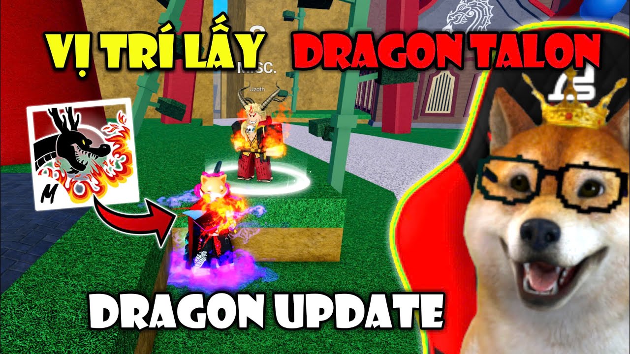 Vị Trí Lấy Võ Rồng V2 (DRAGON TALON) Trong Dragon UPDATE Blox Fruit ...