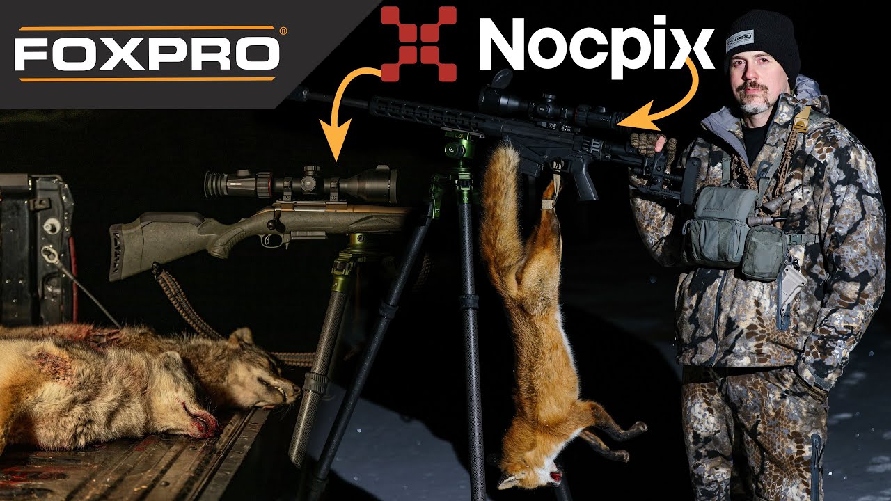 Kentucky Night Coyote Hunting and Pennsylvania Fox Hunting With Nocpix ...
