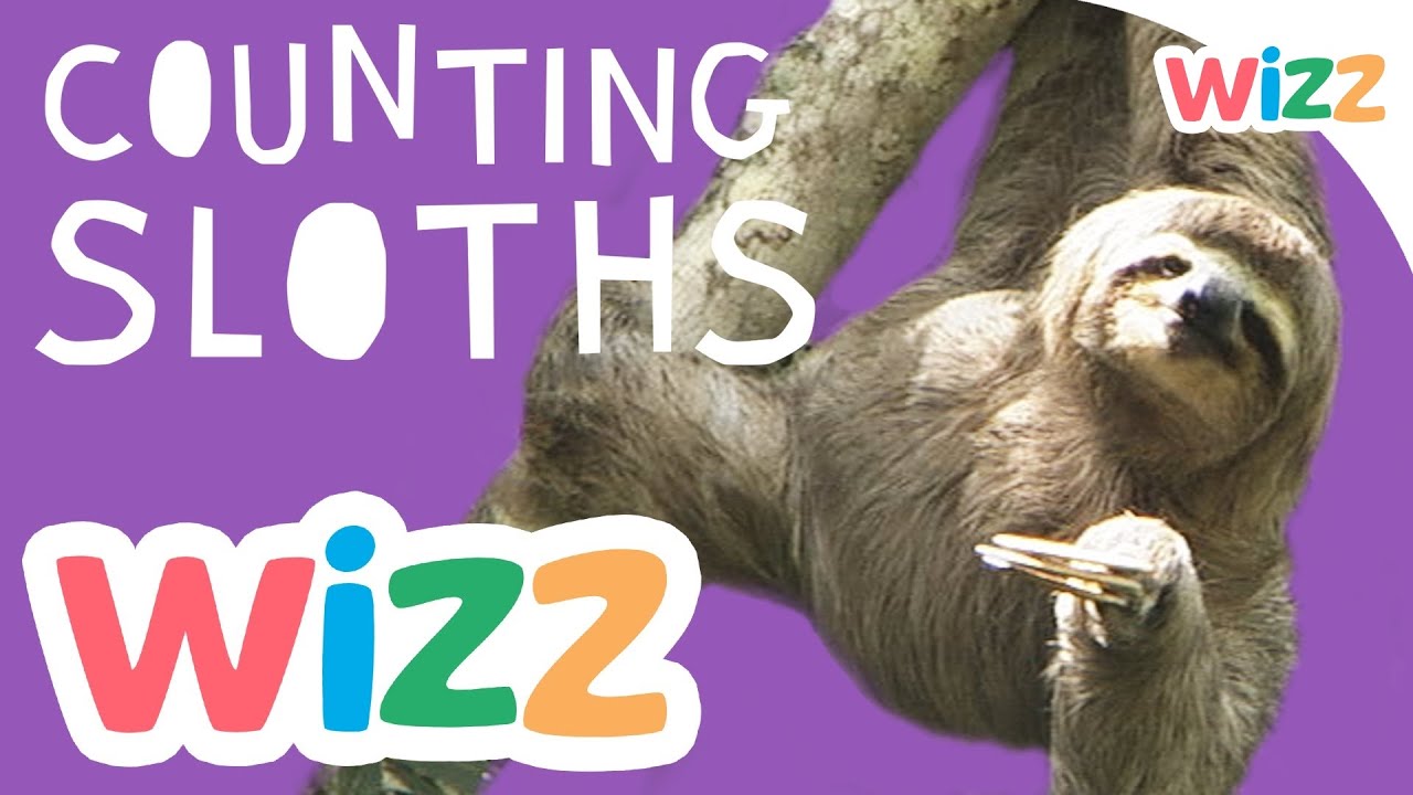 Counting Sloths For Kids - YouTube
