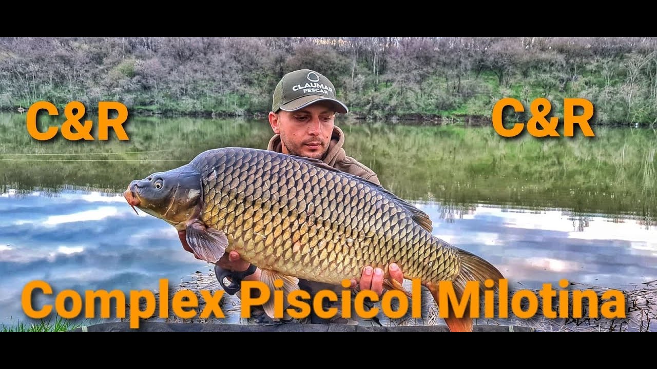 Noua Balta C&R/Complex Piscicol Milotina 1//O partida de pescuit ”pe ...