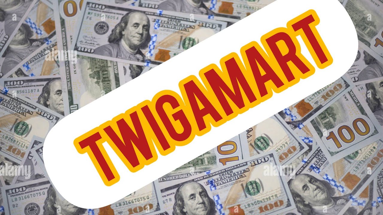 how to make money online in 2022(twigamart) - YouTube