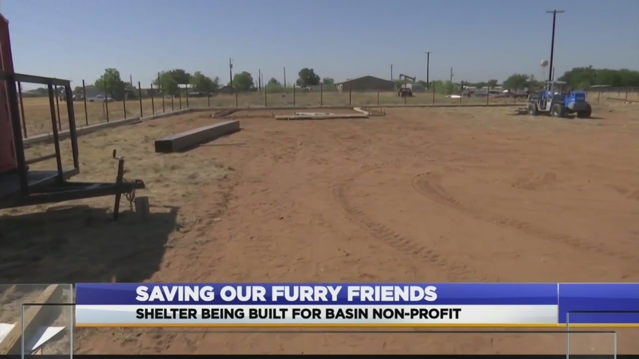 "Dog Rescue R Us" building local animal facility - YouTube