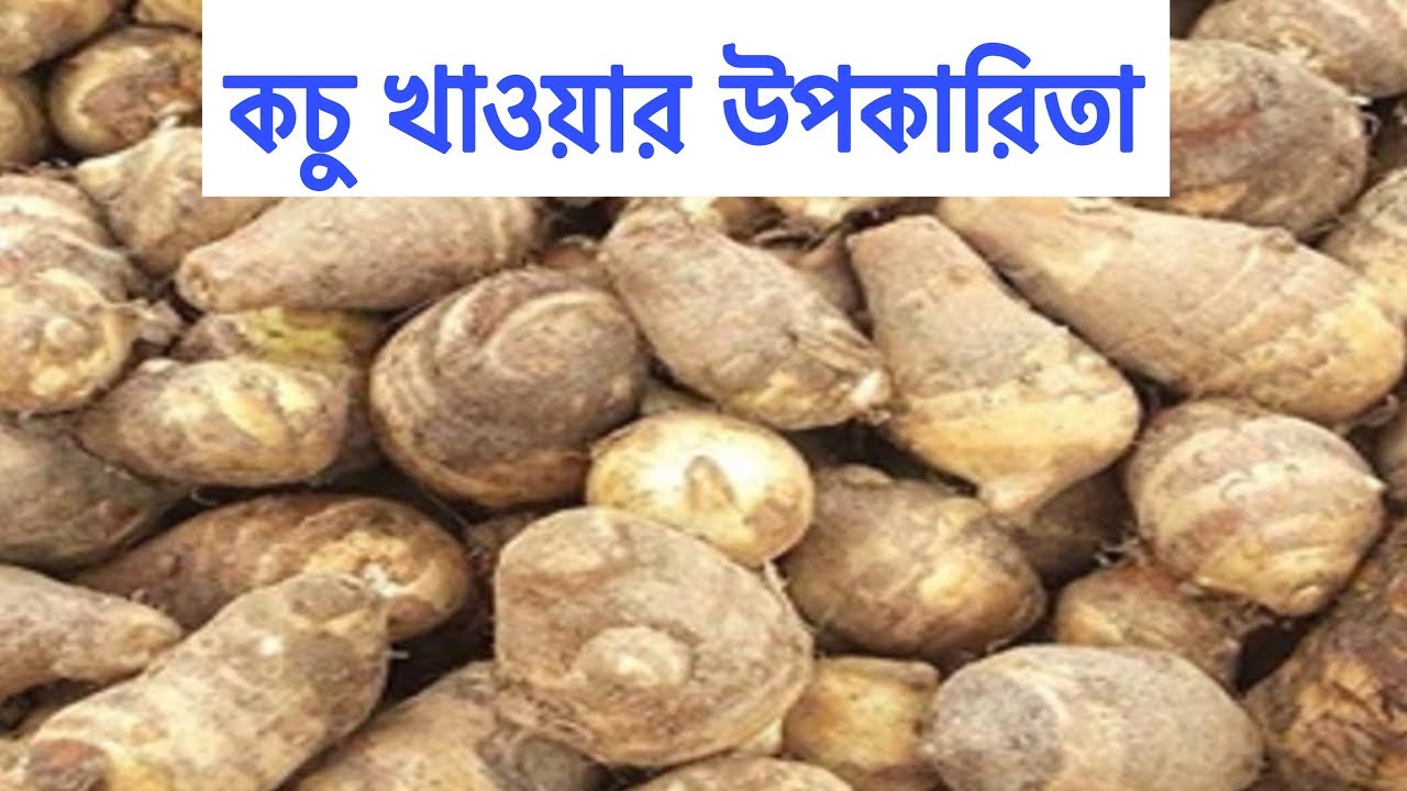 কচুর বহুমুখী উপকারিতা | kochu khawar upokarita, Bangla - YouTube