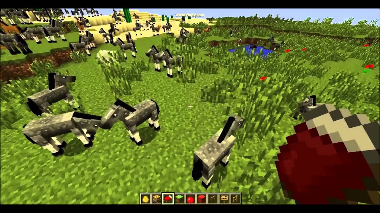 Minecraft xD - YouTube