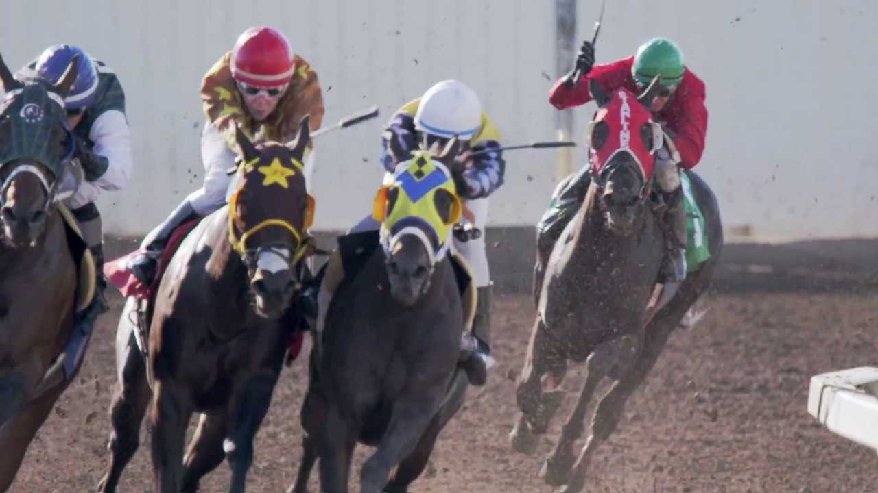 Horse Racing Alberta - "Benefits" - YouTube