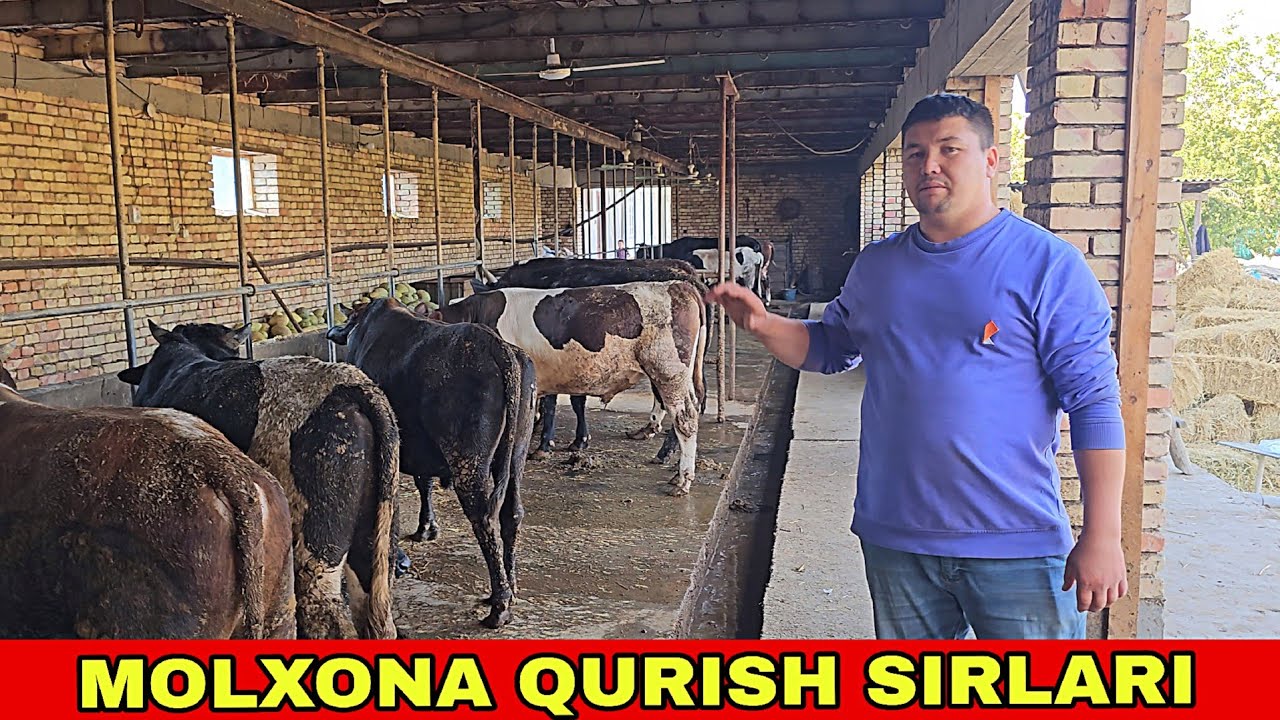 MOLXONA QURISH SIRLARI - YouTube