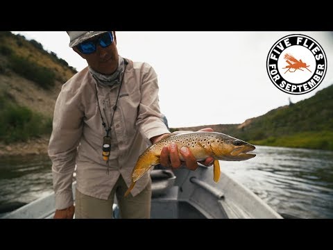 Five Flies for September 2019 - Float Fishing the Colorado with Big Dry ...