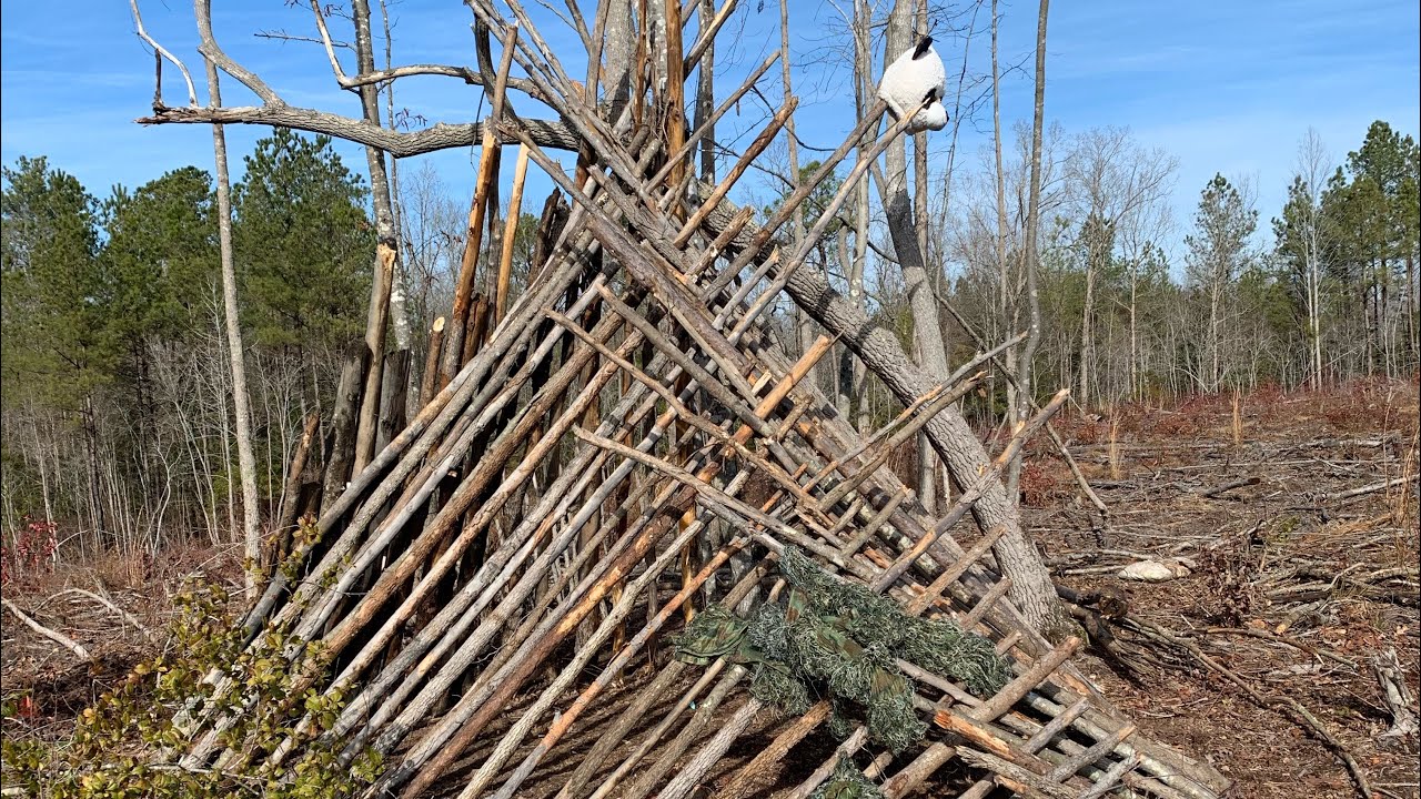 Building A Massive Fort In A Chopped Down Forest - YouTube