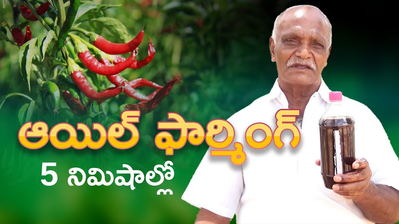 Ponnuswamy Oil Farming Explained - Ponnus rythu seva kendram - YouTube