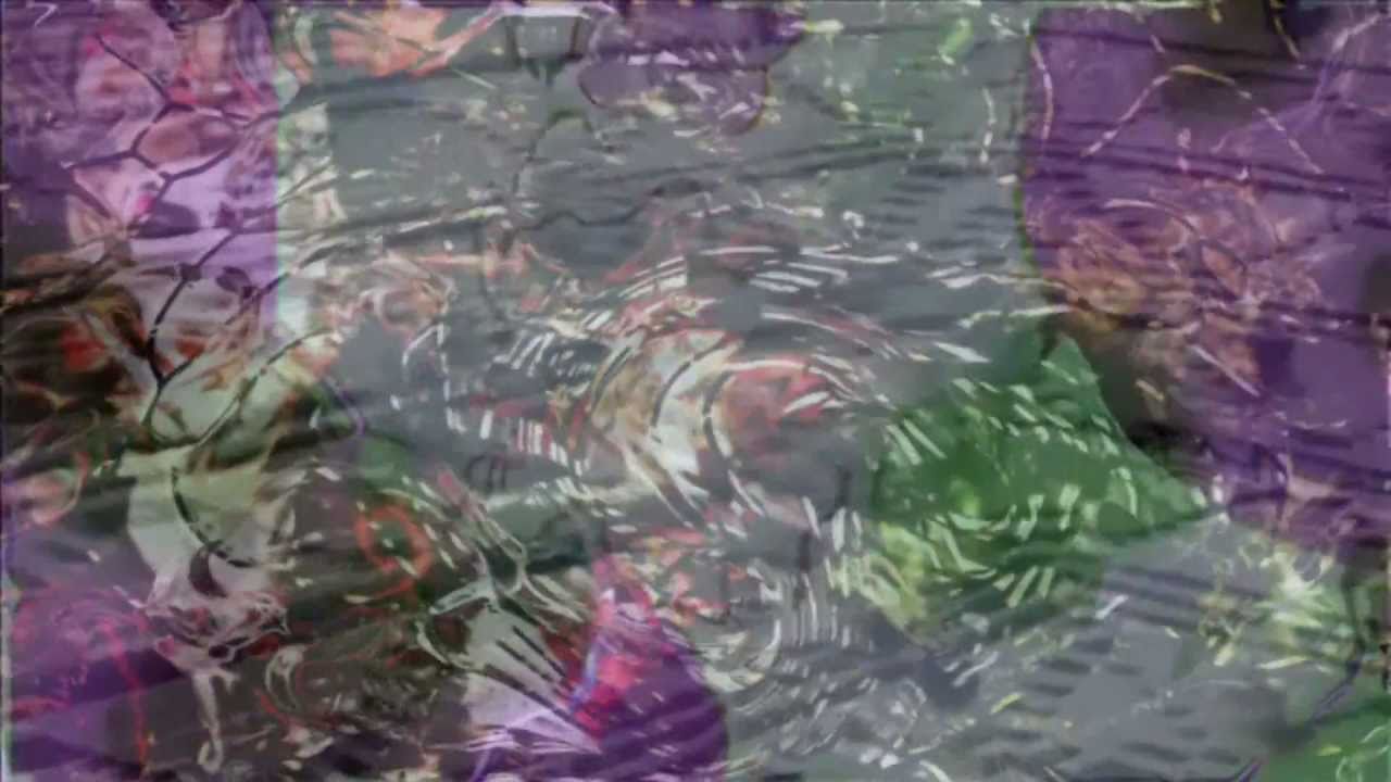 SHPONGLE - Electroplasm - YouTube