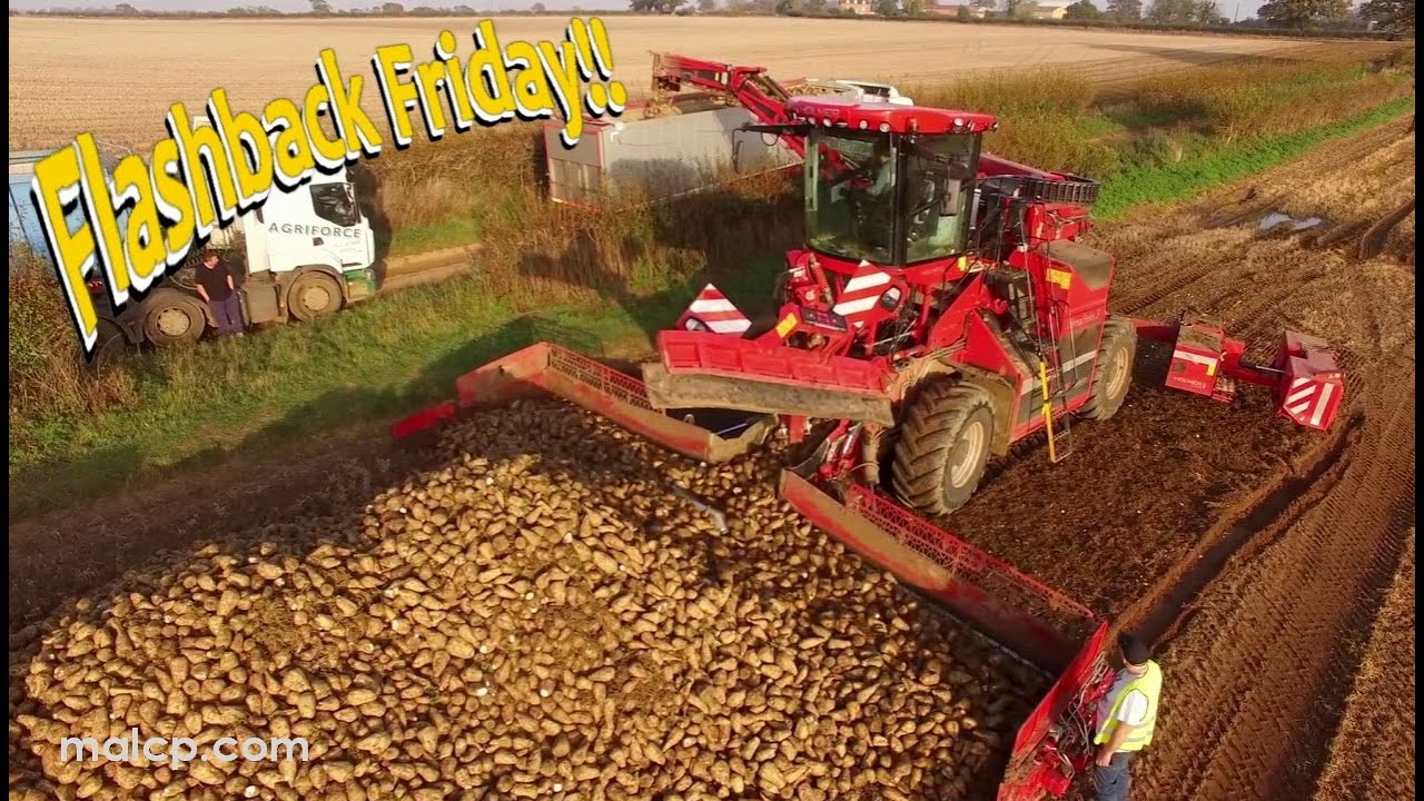 FF #2 Holmer Terra Felis 3 sugar beet loader working in Blaxhall ...
