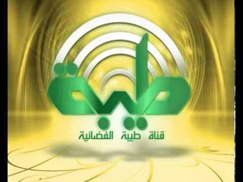 Tayba TV logo animation 1 - YouTube