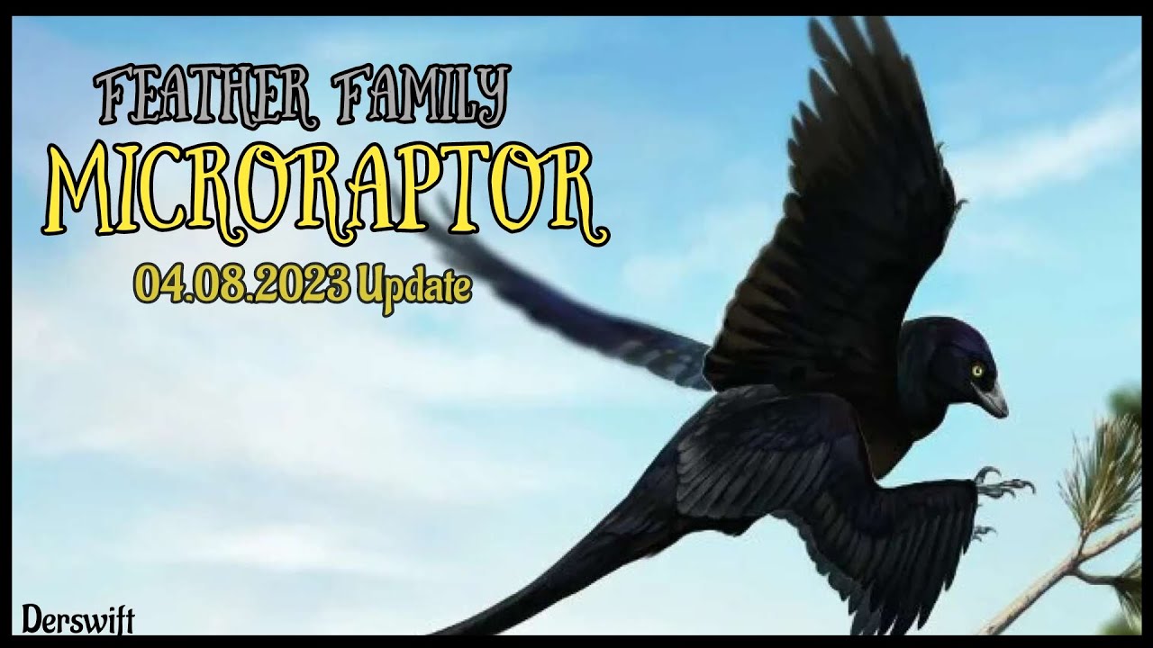 Feather Family - Microraptor update - YouTube