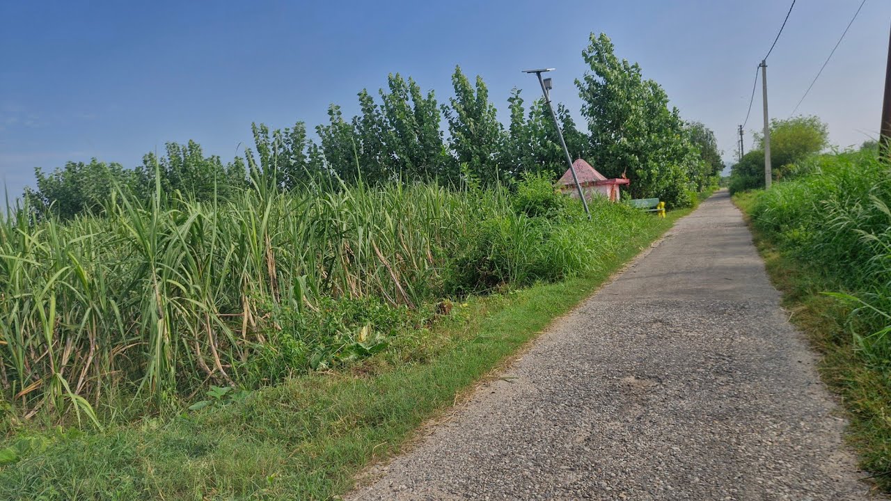 2 Bigha Land For Sale near Anantam Resort Dhela Jhirna gate #nature # ...