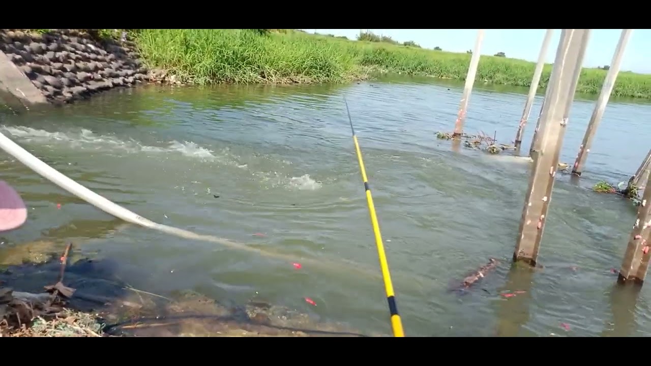 MANCING WADER!! SANGAT MUDAH DISINI - YouTube