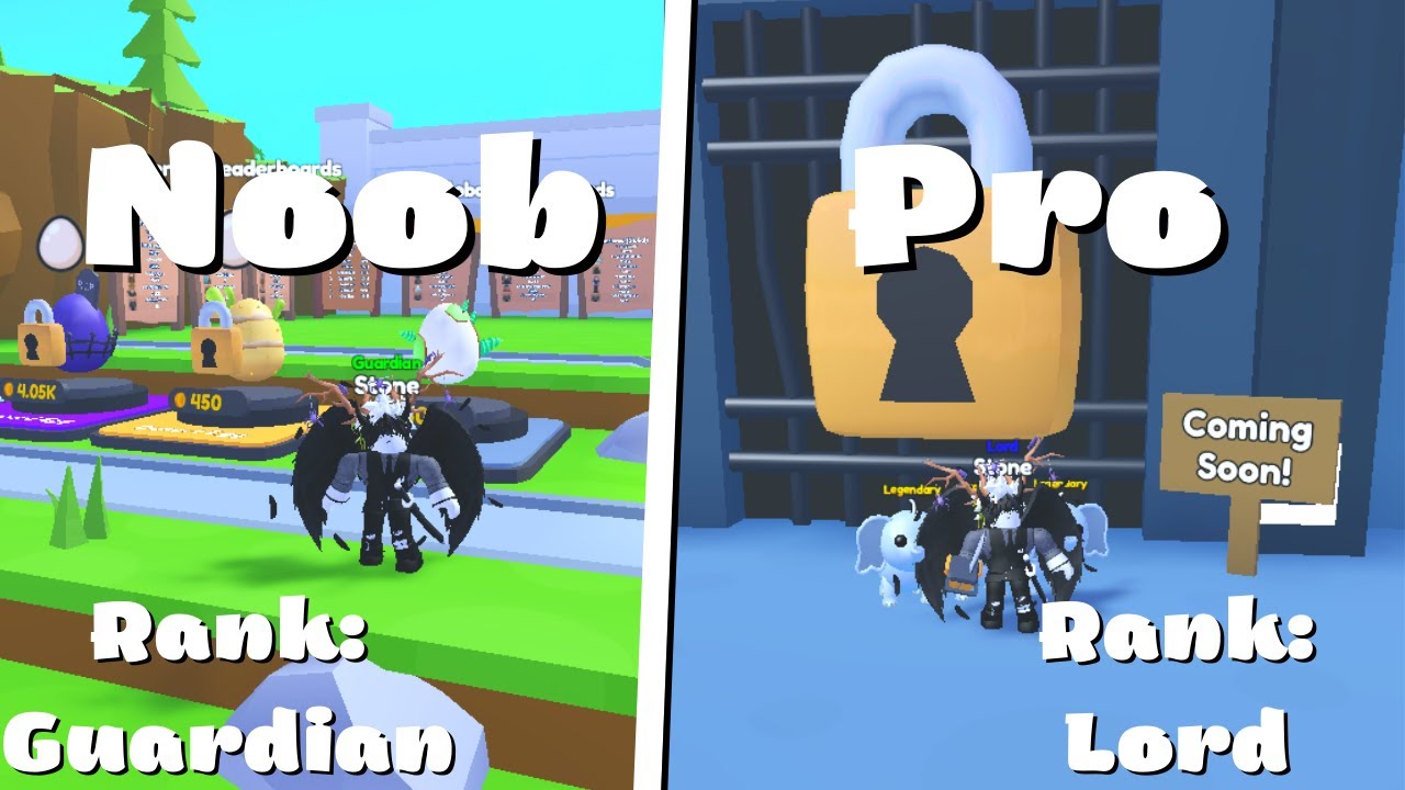NOOB TO PRO - Pet Fighting Simulator | ROBLOX - YouTube
