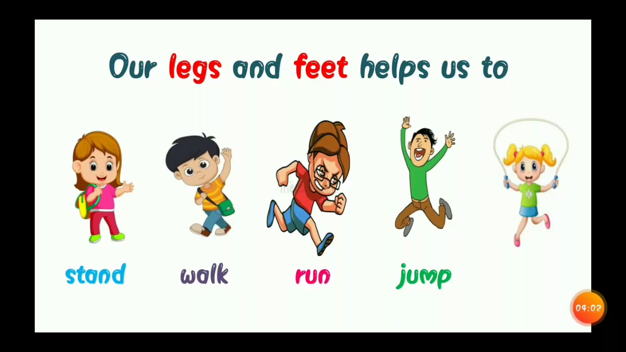 Online class for EVS || 1st standard || Body parts - YouTube