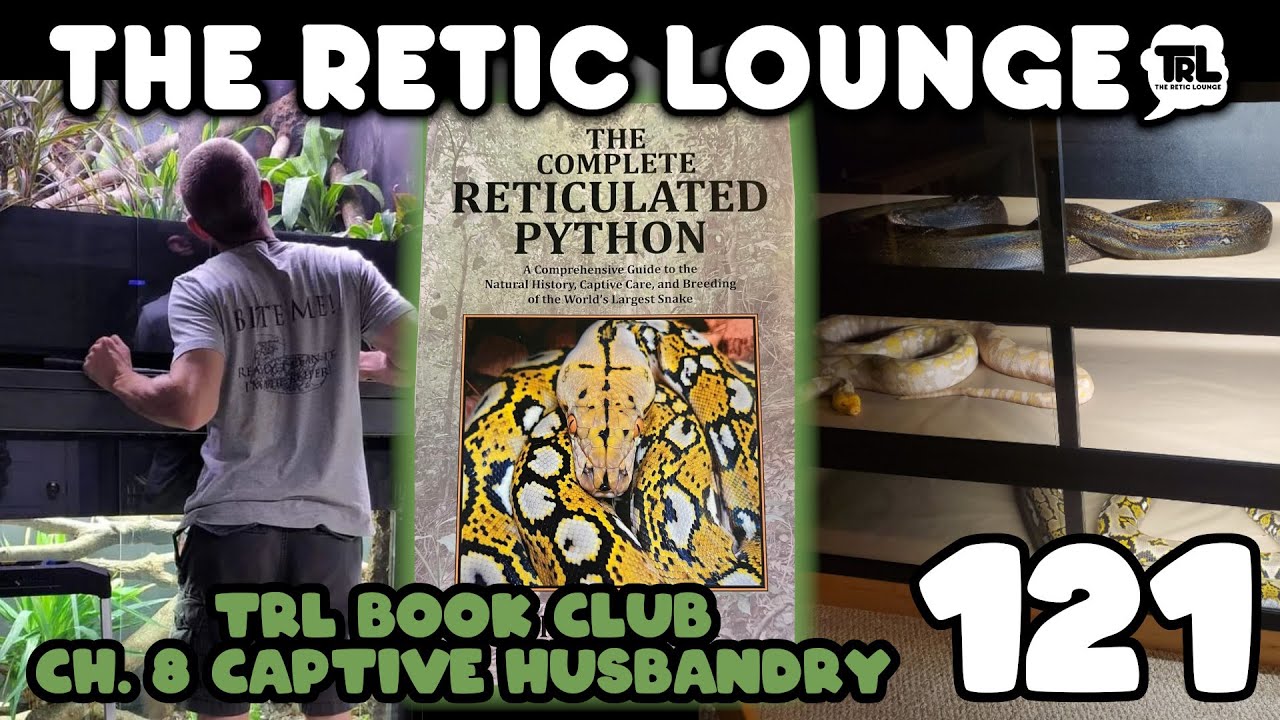 Reticulated Python Captive Husbandry | TRL Book Club Ch.8 | The Retic ...
