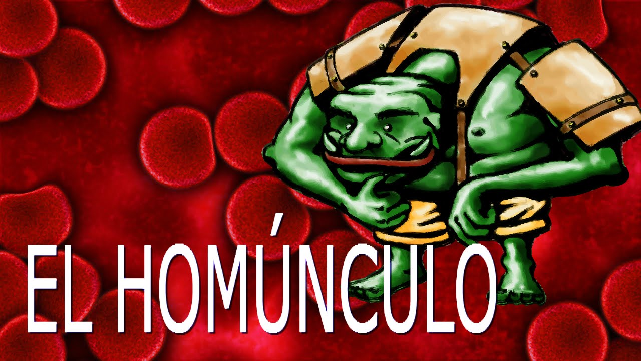 LO QUE NO SABÍAS DEL HOMÚNCULO EN 1 MINUTO - YouTube