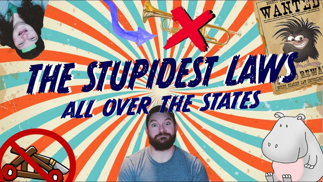 THE STUPIDEST LAWS EVER MADE Game Show IN MICHIGAN CALIFORINA the-stupidest-laws-ever-made-game-show-in-michigan-califorina