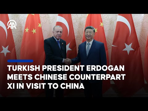 Turkish President Recep Tayyip Erdogan met with his Chinese counterpart Xi Jinping in Tianjin, China