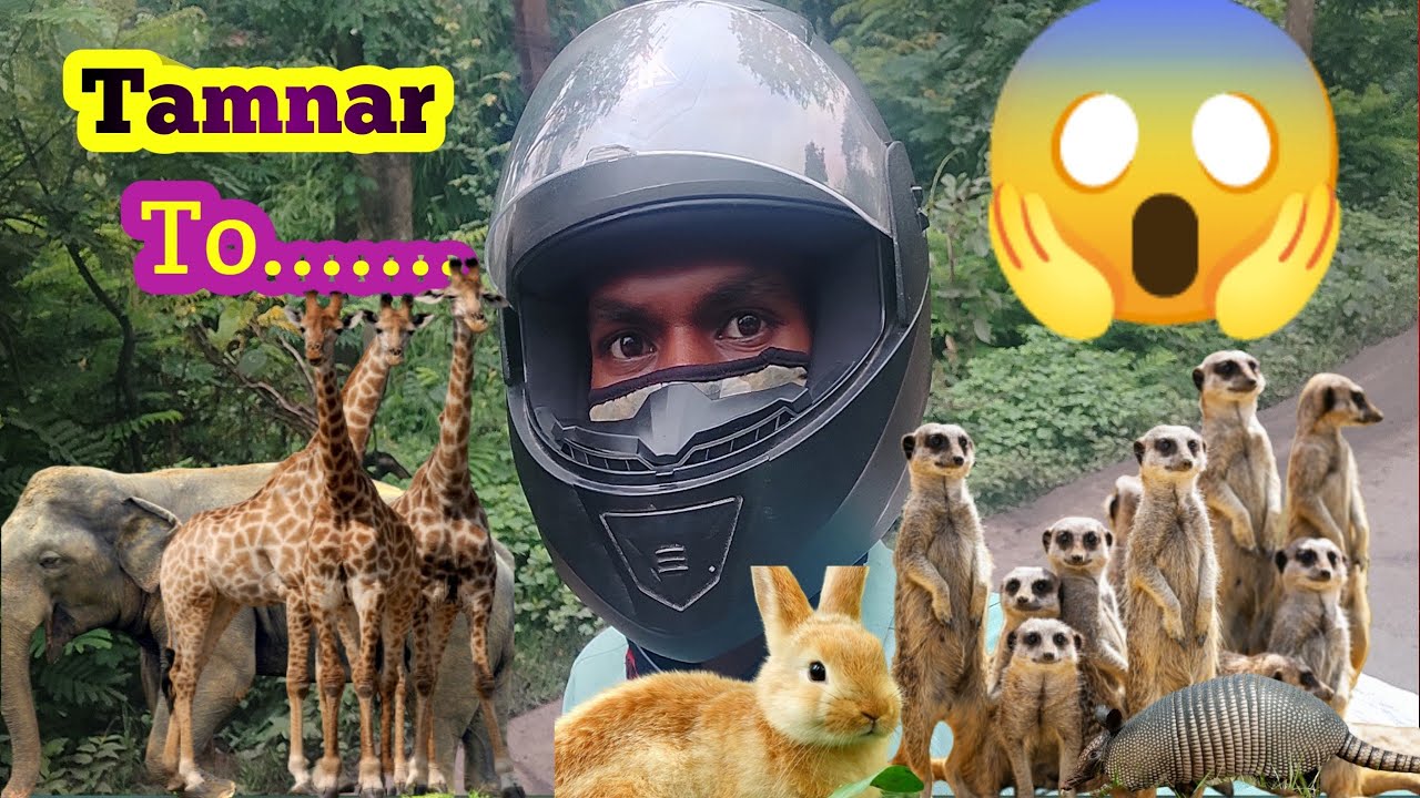 Tamnar to Sarangarh 🏍️🏍️। treval। #ytvlogskishan । blogging - YouTube