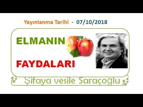 ELMANIN FAYDALARI ~ Şifaya vesile Saraçoğlu