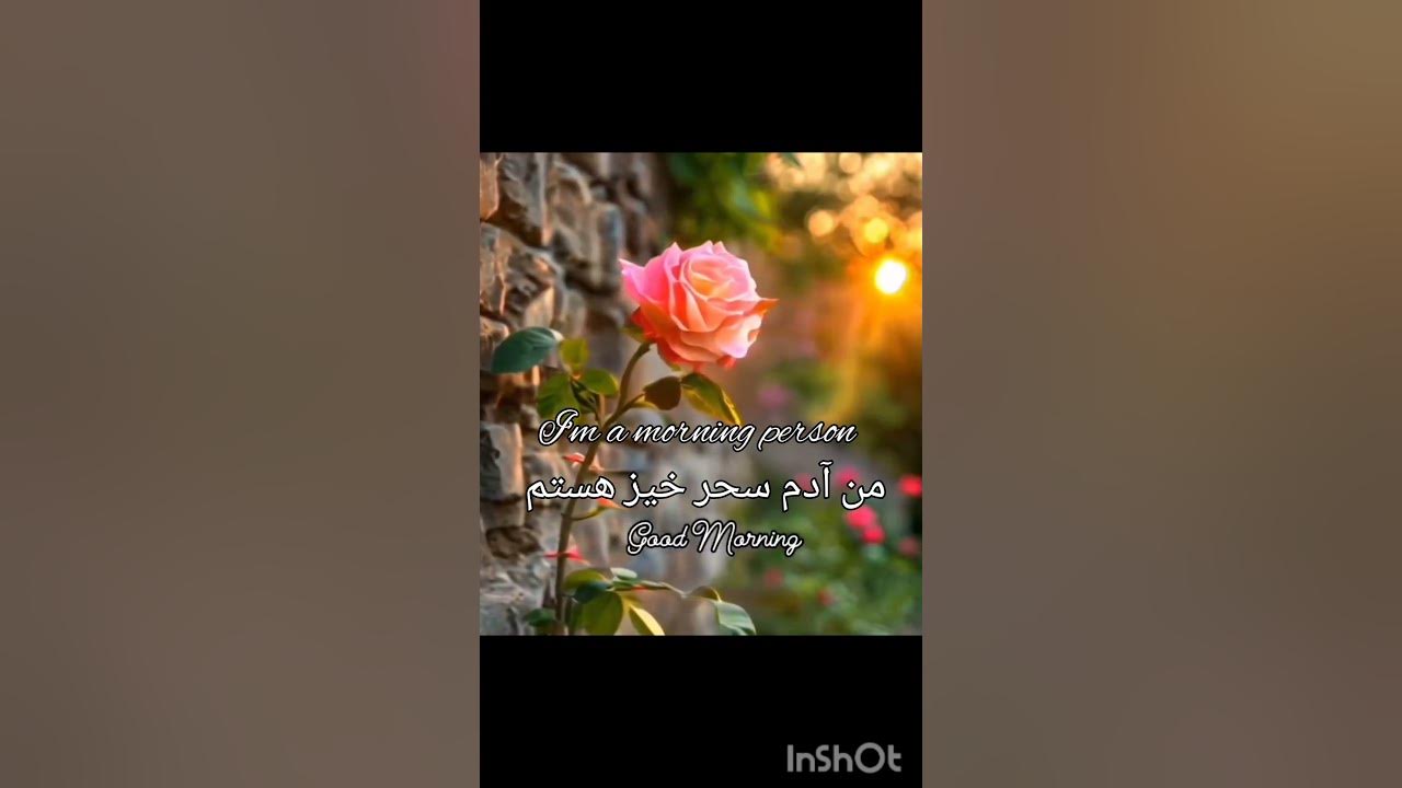 English بلدی به انگلیسی بگی من آدم سحر خیز هستم Youtube