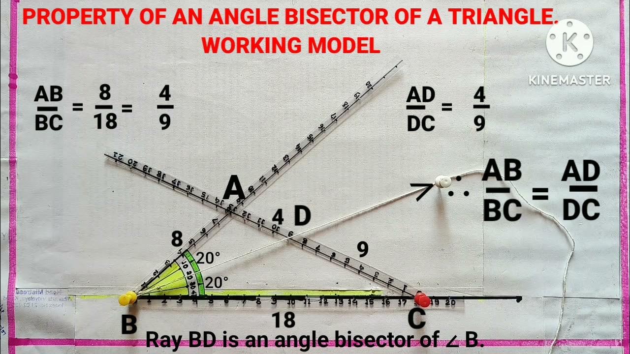 Property of an angle bisector of a triangle working model - YouTube