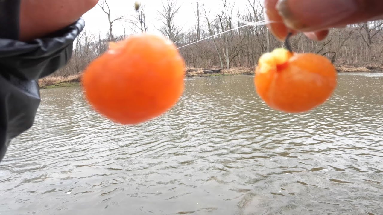 Catching Erie Steelhead With Double Spawn Sacs!! Double Spawn Sacs ...